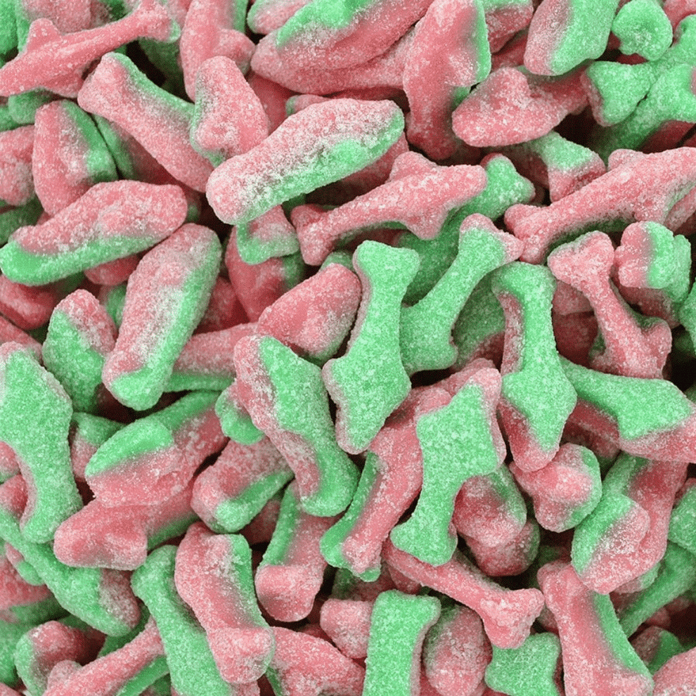 Watermelon Sharks – Colourful Confectionery